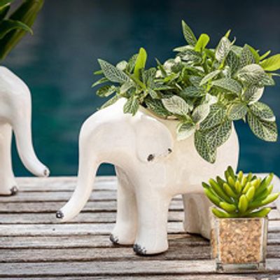 Abbott Wholesale Home Décor