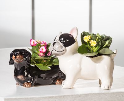 Abbott Wholesale Home Décor